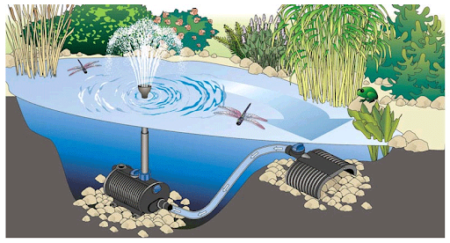 Tout savoir sur l’utilisation d’une pompe à bassin [en 2021]