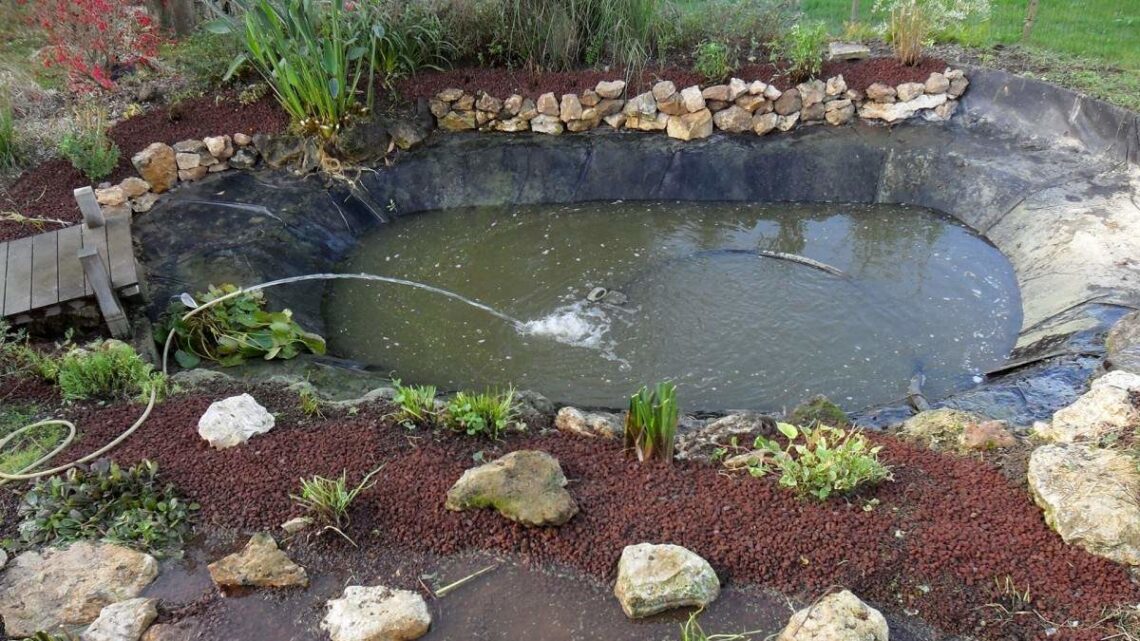 Tout savoir sur l’utilisation d’une pompe à bassin [en 2021]