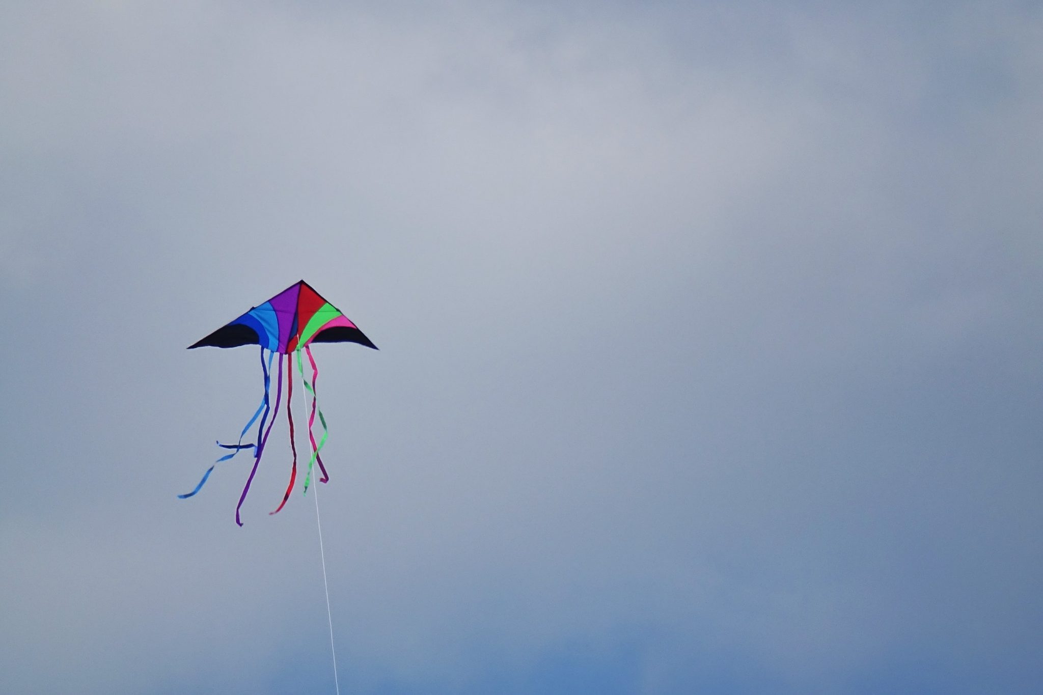 Les 10 meilleurs cerfs-volants pour adulte en 2022